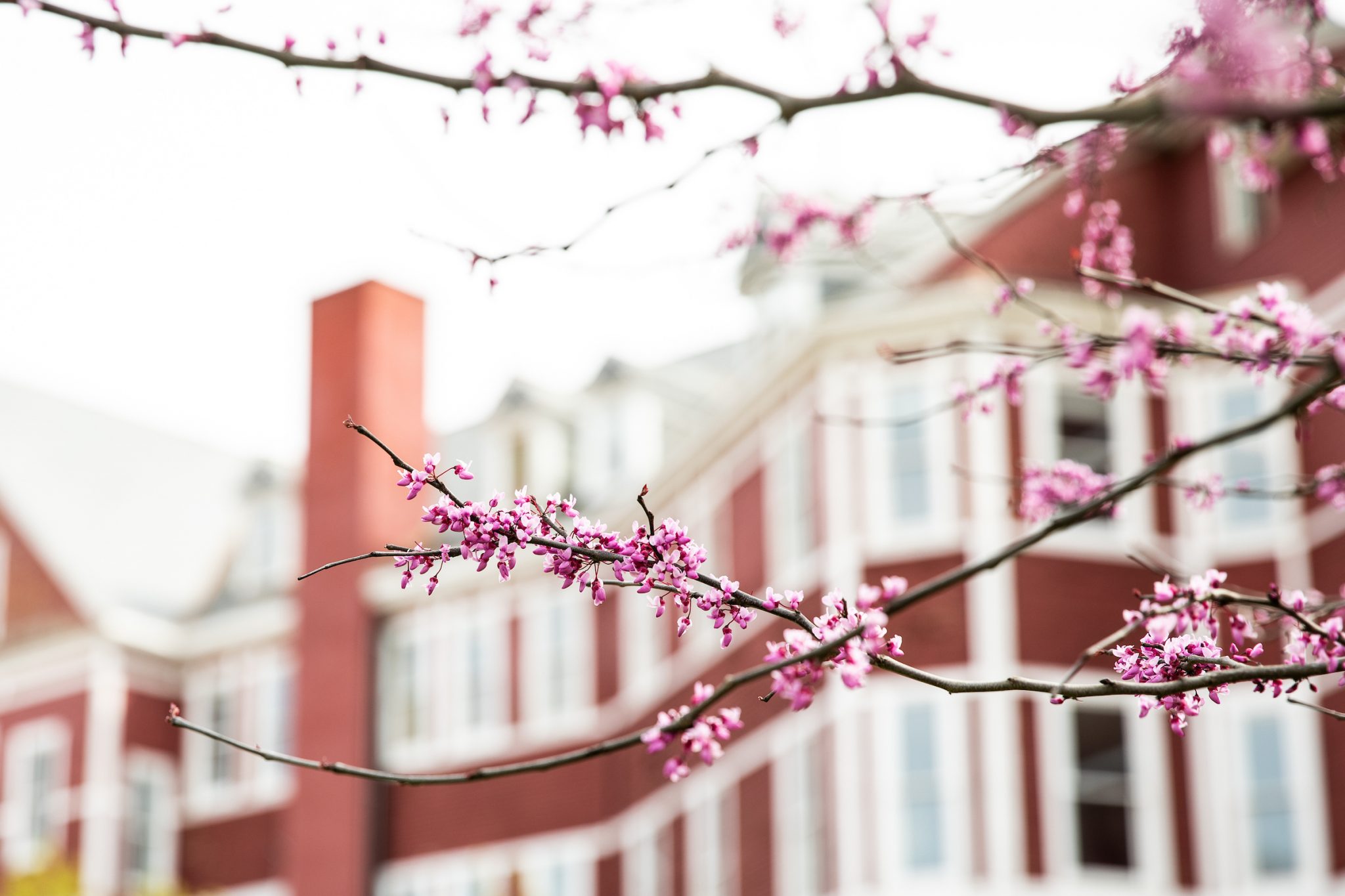 Southern Virginia University News